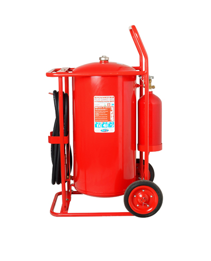 Extinción por Gas y Espuma - MICI